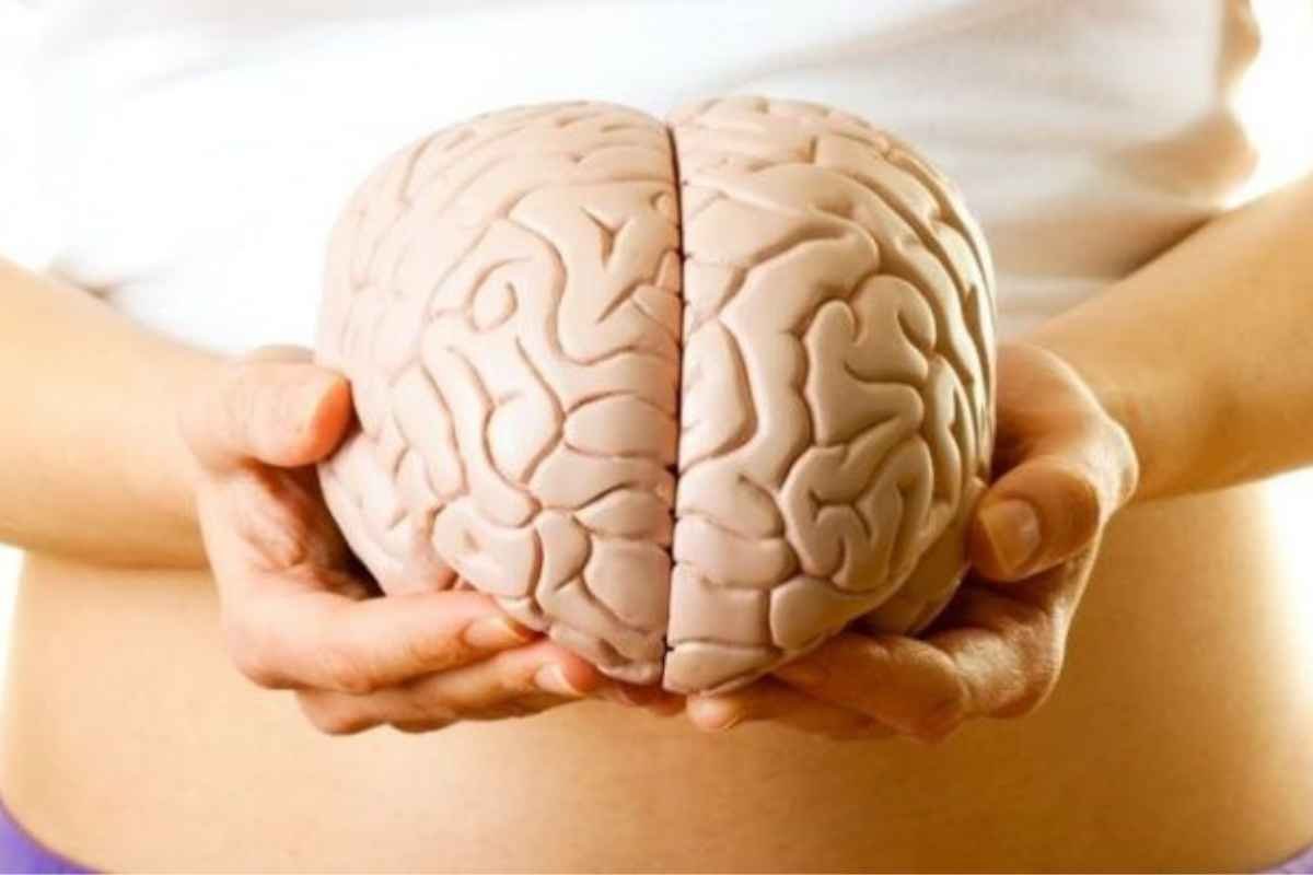Why Is The Stomach Called The Second Brain - Top23News